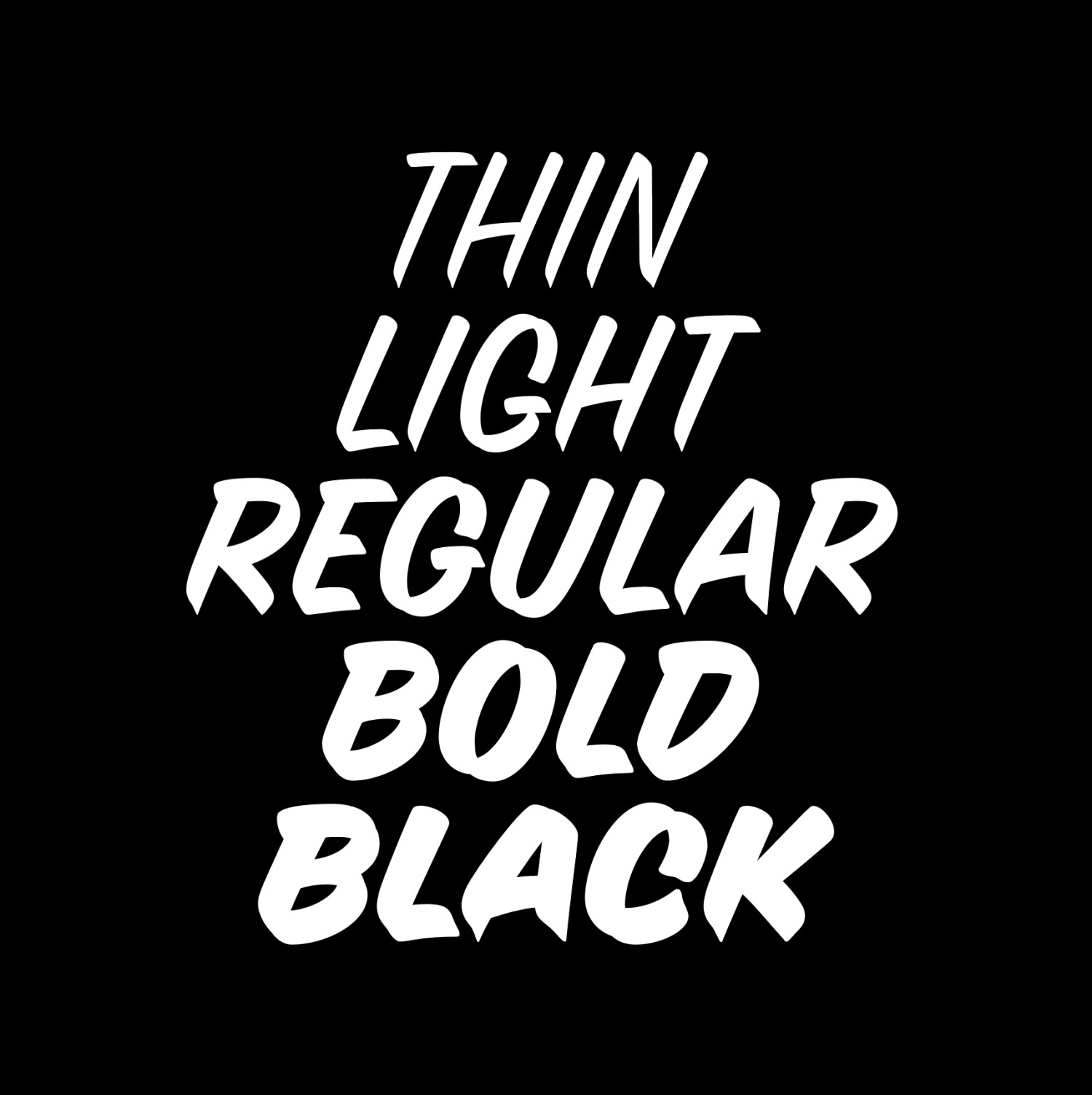 ZC Casual | Flavia Zimbardi